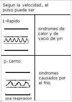 EL EXAMEN DEL PULSO (parte 3 de 4)