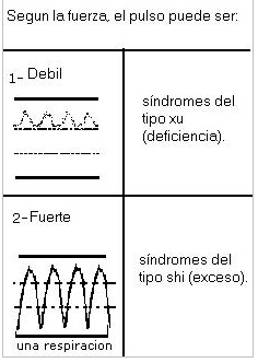 EL EXAMEN DEL PULSO (parte 3 de 4)