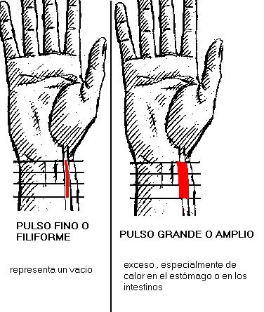 EL EXAMEN DEL PULSO (parte 3 de 4)