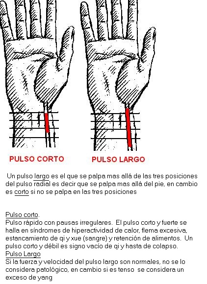 EL EXAMEN DEL PULSO (parte 3 de 4)