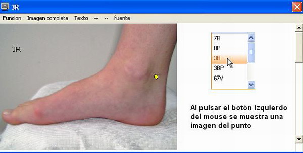 Cinco Elementos - Acusoft